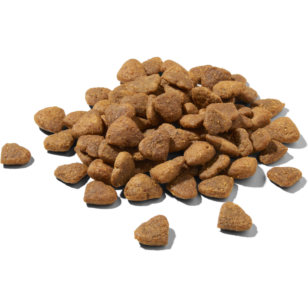 FELIA Premium Trockenfutter Huhn für Katzen I FRED & FELIA