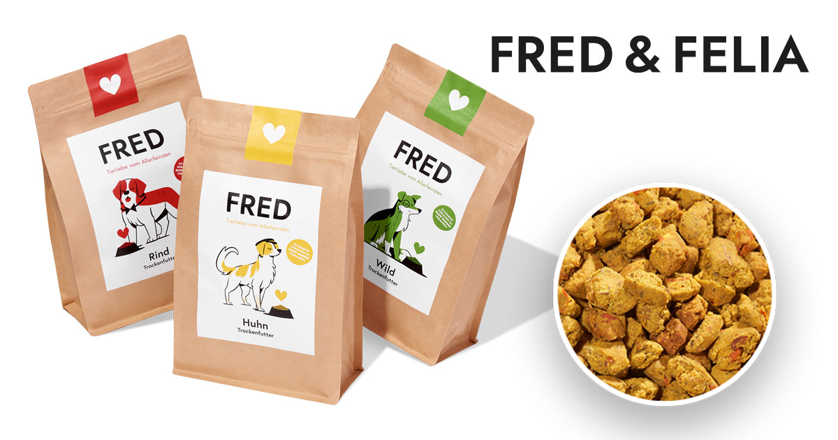 FRED Dog Drinks